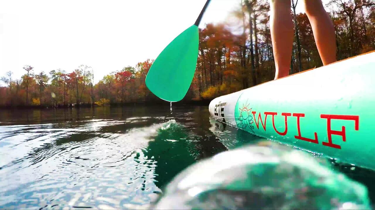 Bote Board WULF Paddleboard