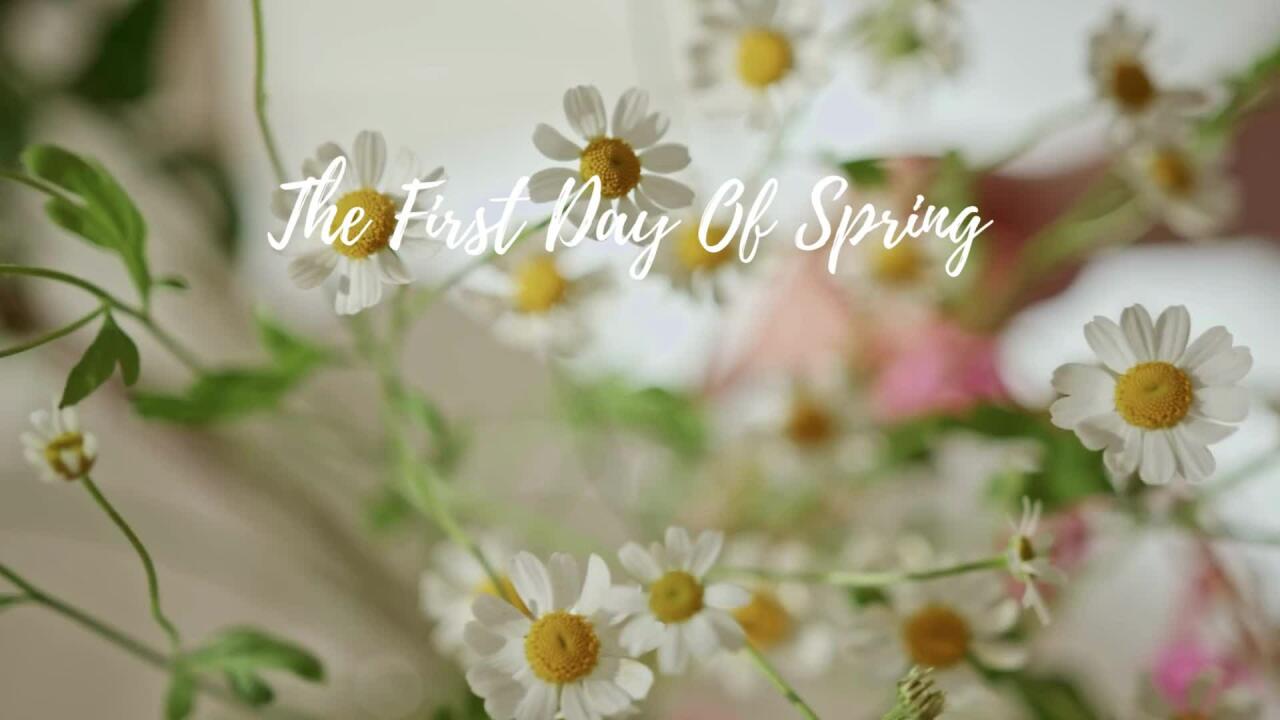 Creatable - National Proposal Day is 3/20 - Jared.