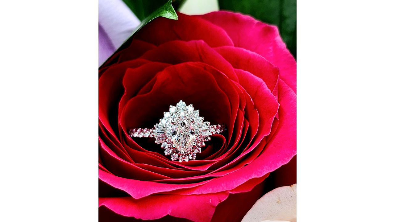 Creatable - Take A Peek At Our New Pnina! - Jared.