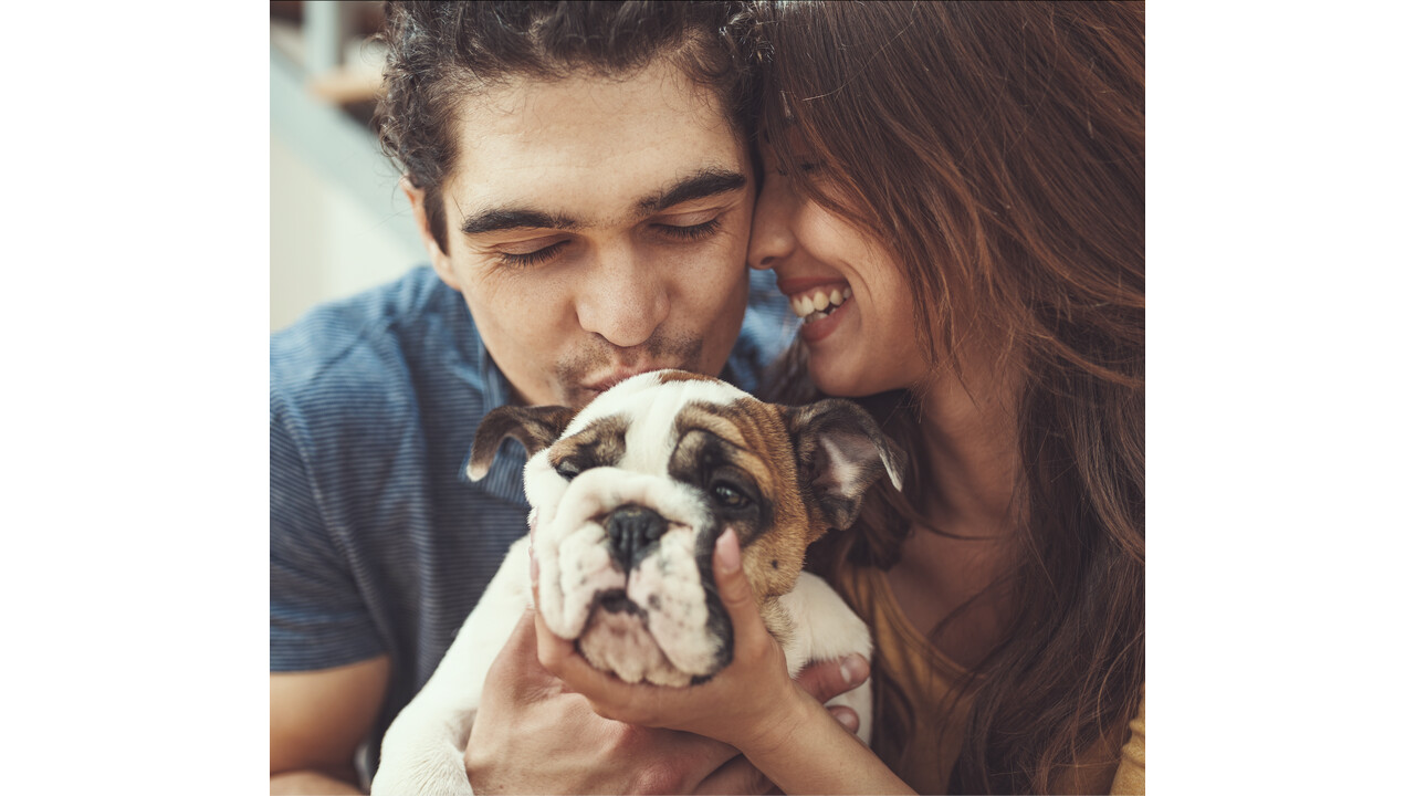 Creatable - Getting a Pet - Jared.