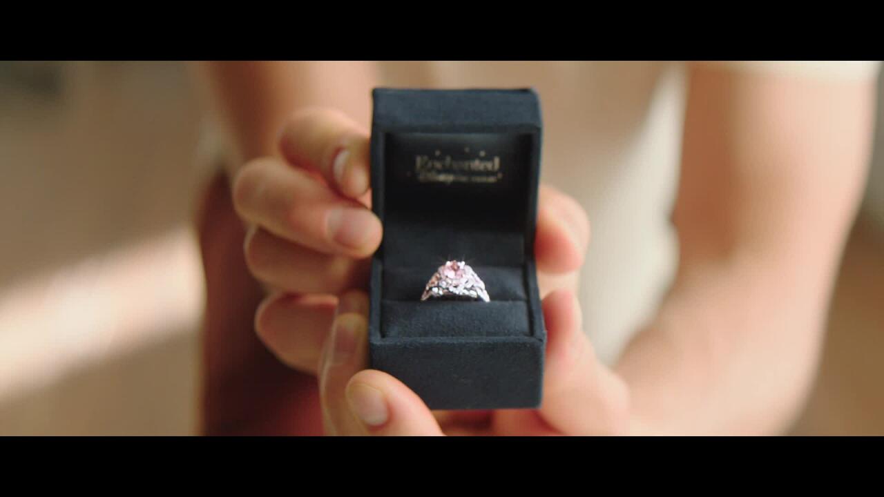 Creatable - Enchanted Disney - Zales