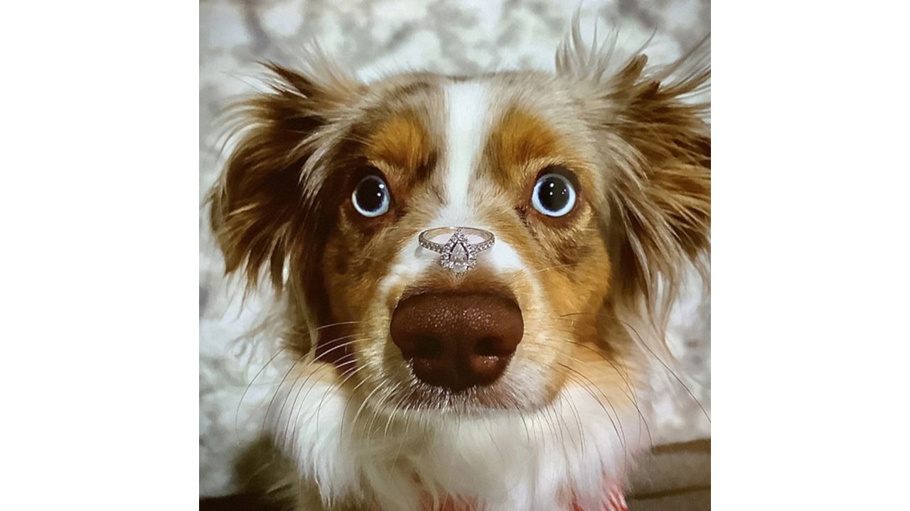 Creatable - Neil Lane collection - Kay Jewelers.