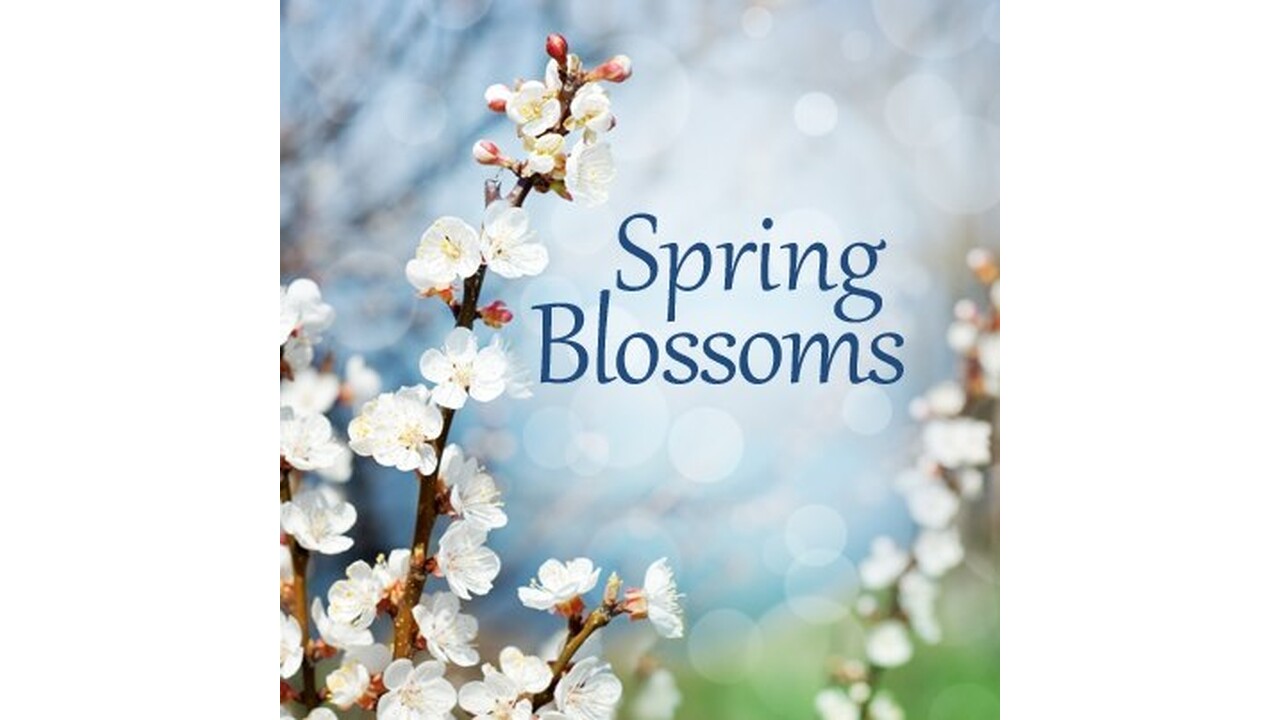 Creatable - Spring is Here! - Kay Jewelers.